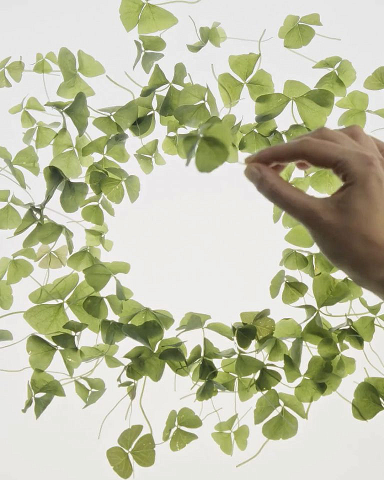 PHANTASIA — PHANTASIA provides CREATIVE SERVICES with a ...